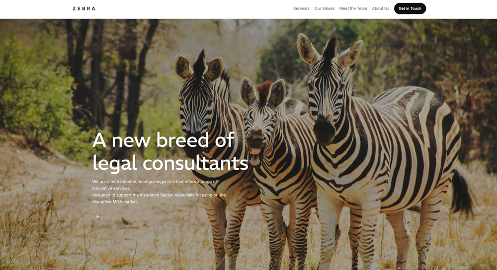 Zebra Law | A new breed of legal consultants